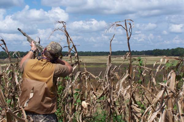 First hunting seasons arrive with Labor Day - WV MetroNews