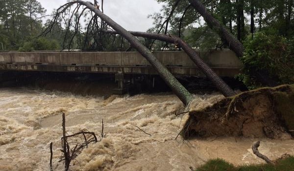 Former Mountaineer player rides out South Carolina floods - WV MetroNews