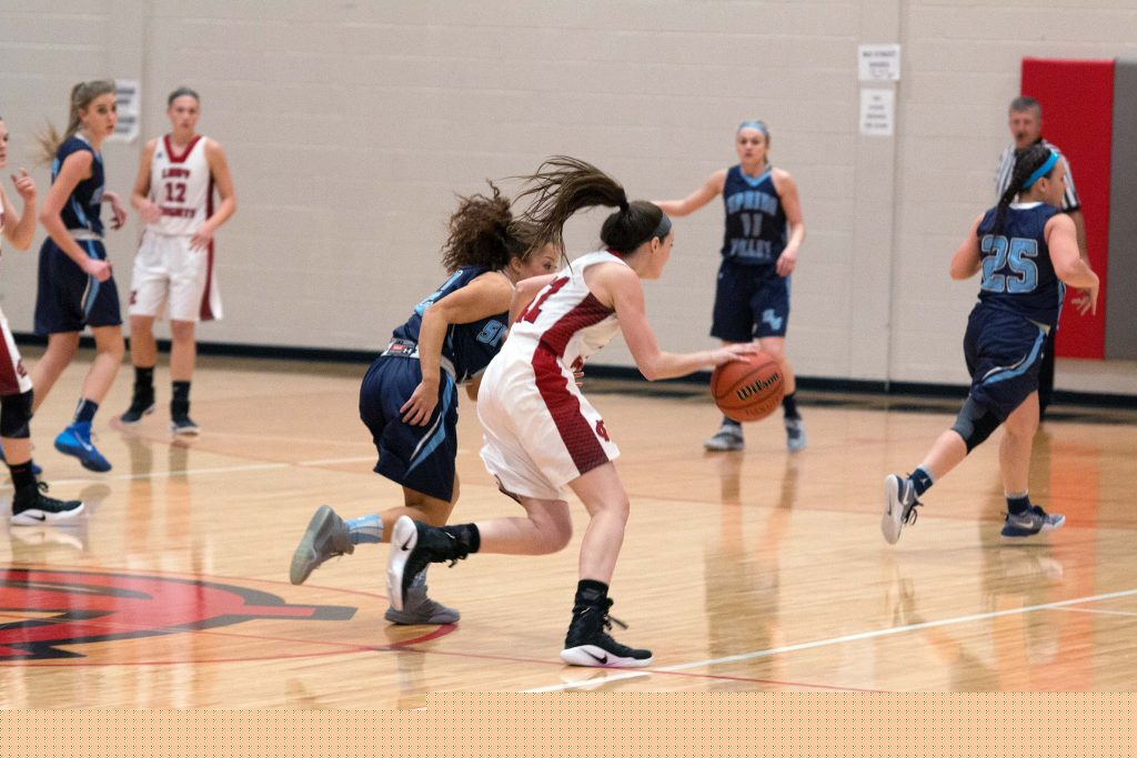 Girls basketball gallery: Spring Valley beats Cabell Midland in final ...