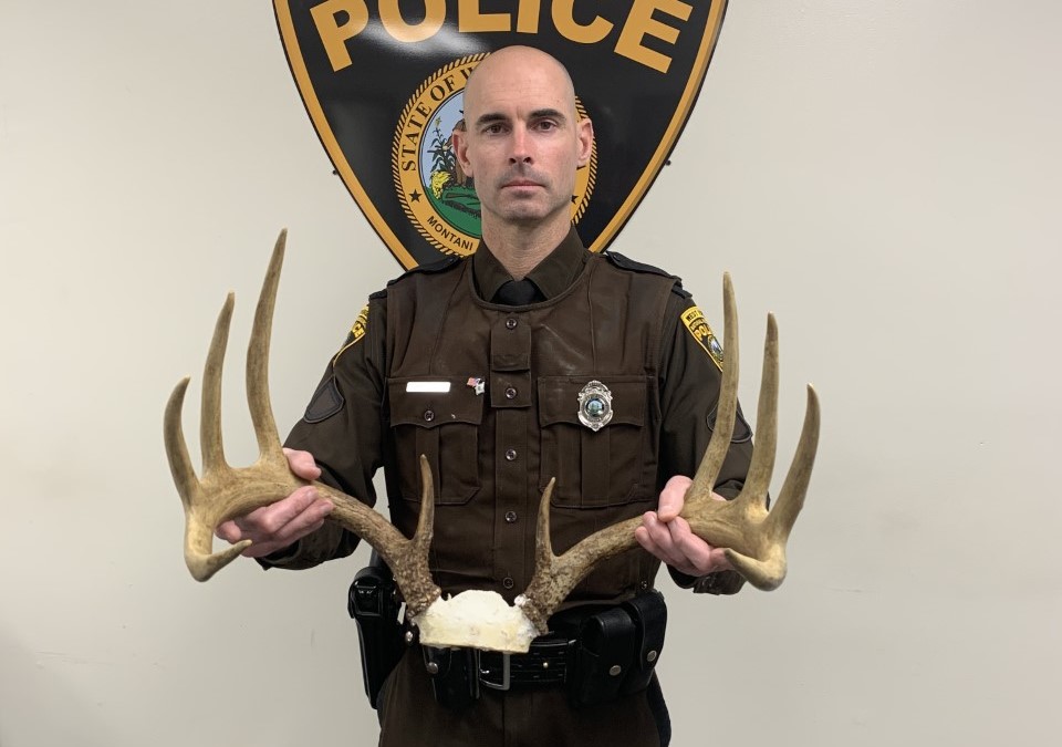 Raleigh County man admits to poaching charges in Wyoming County - WV ...