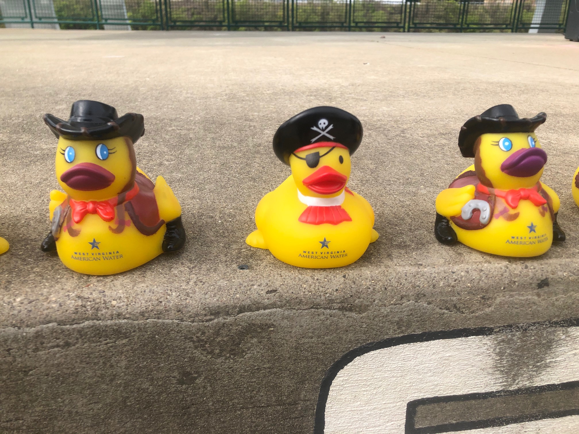 Quack, it's back: The Great Rubber Duck Race returning to Charleston ...