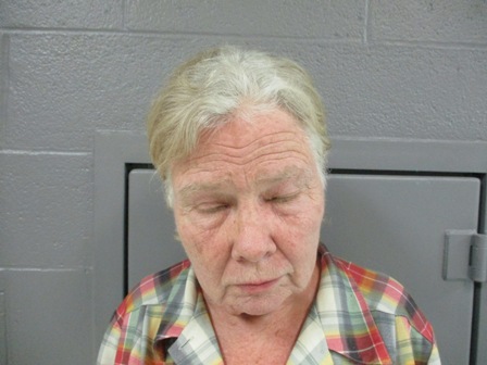 Preston County woman faces charges after Masontown shooting - WV MetroNews