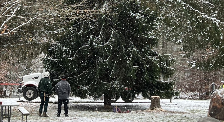 Capitol Christmas Tree ready to make its trek across the Mountain State ...