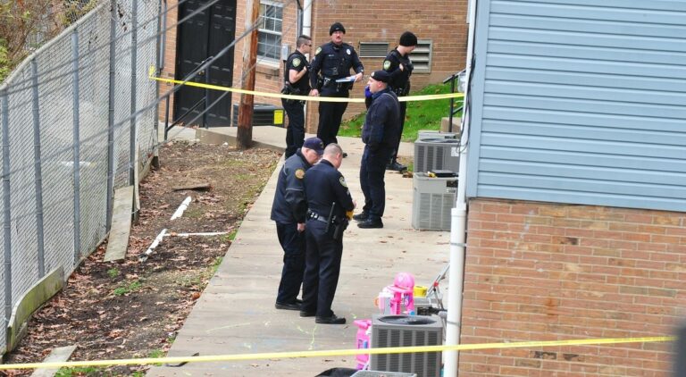 Charleston man arrested in deaths of his mother, 10-year-old boy - WV ...