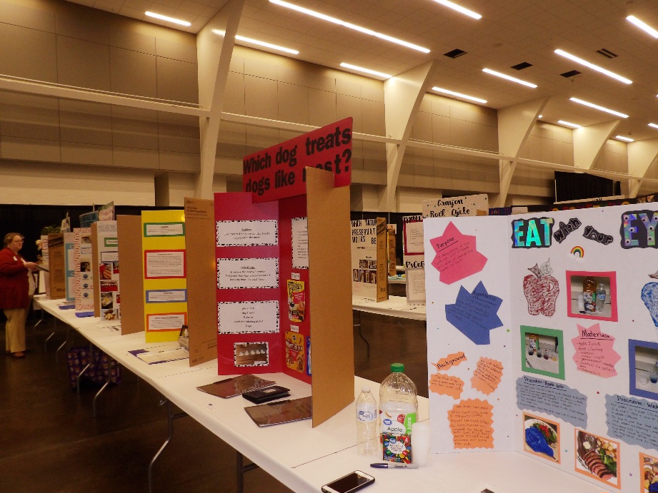 Nearly 300 students participate in statewide Science and Engineering ...